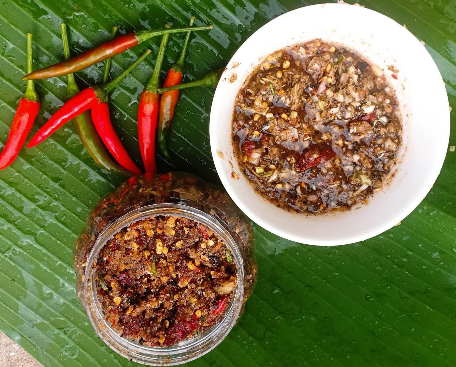 Chẩm Chéo Tây Bắc - Thức Chấm Mang Hương Vị Núi Rừng (2023)